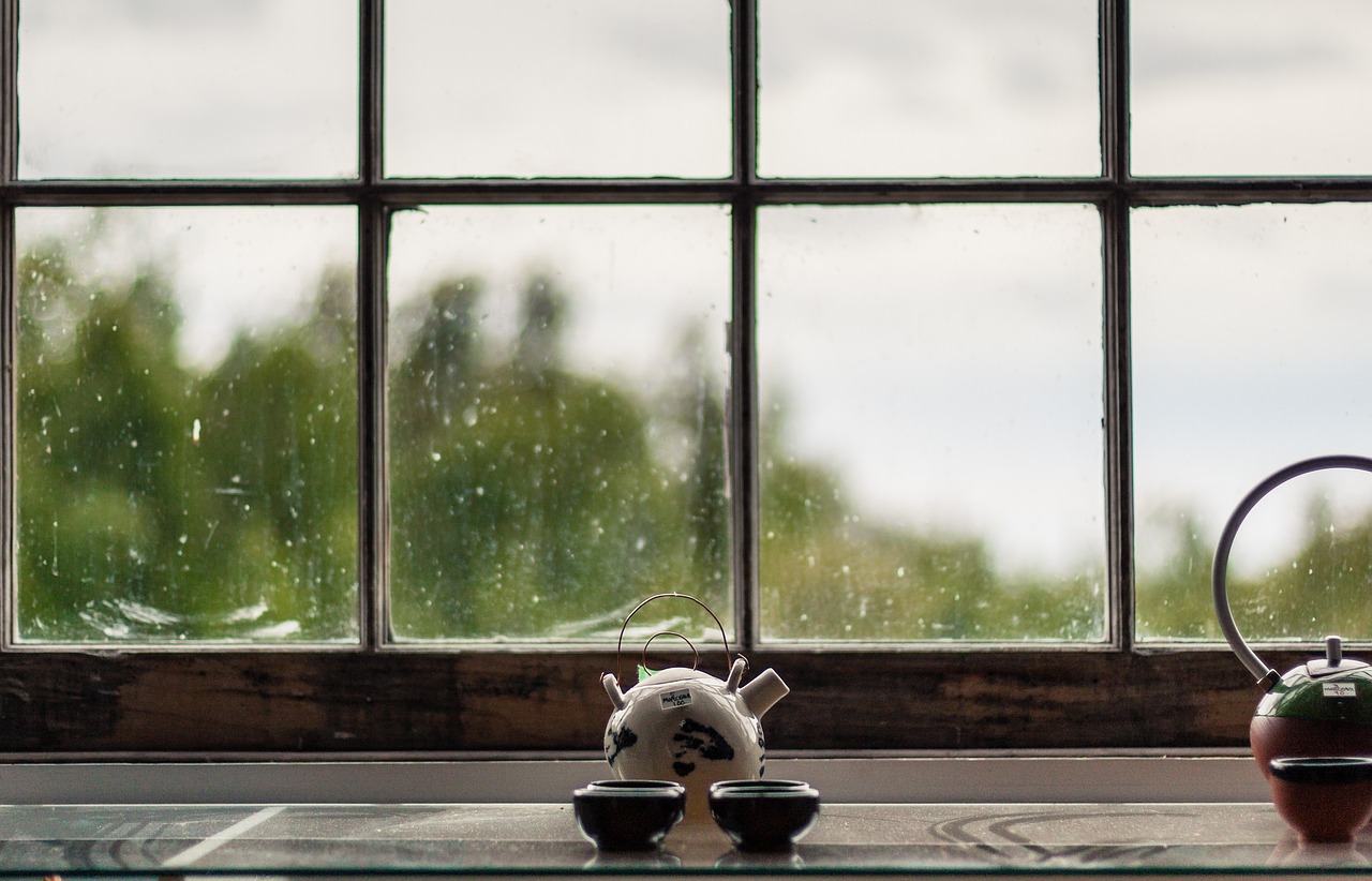 How To Choose Windows For Your Renovation Project | Homes Re-Imagined